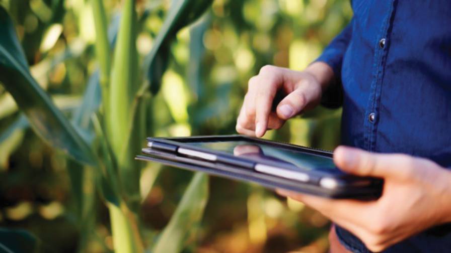 Top 3 Trends to Watch in Digital Agriculture in 2021 - Global Ag Tech ...