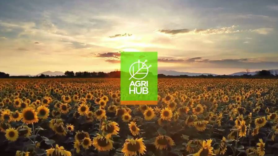 AgriHub: Connecting Brazilian Producers to Technologies Worldwide ...