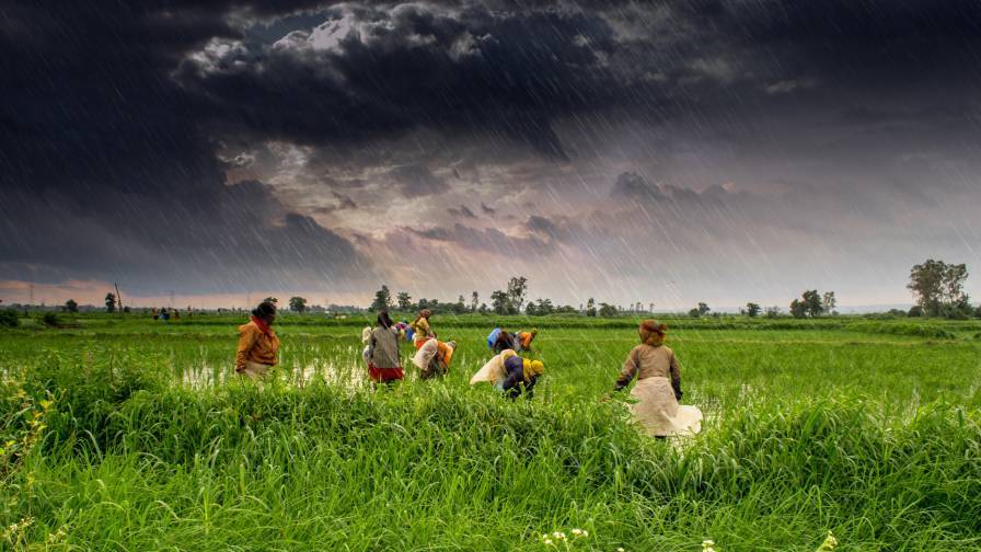Precision Agriculture in India: New Technologies Are Here, But Wide ...