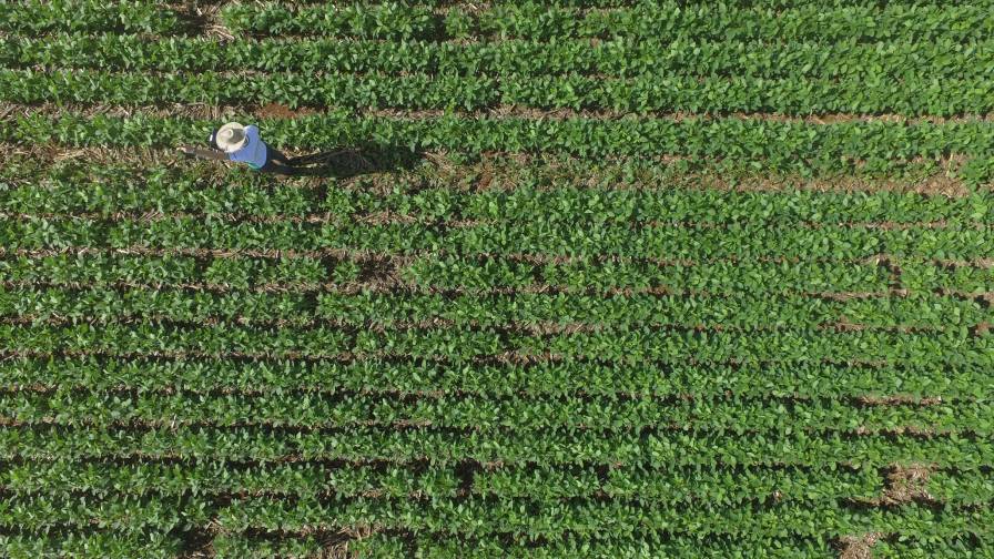 Agricultural Drones in Brazil: A Look at Training and Practical Use ...