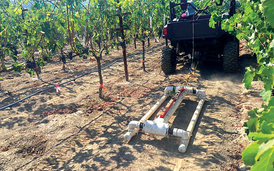 How to Make Vineyard Management More Precise - Global Ag Tech Initiative