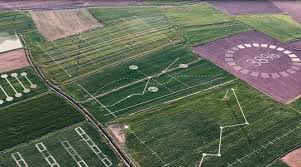 How to Develop a Precision Ag Strategy: Start With These 6 Steps - The ...