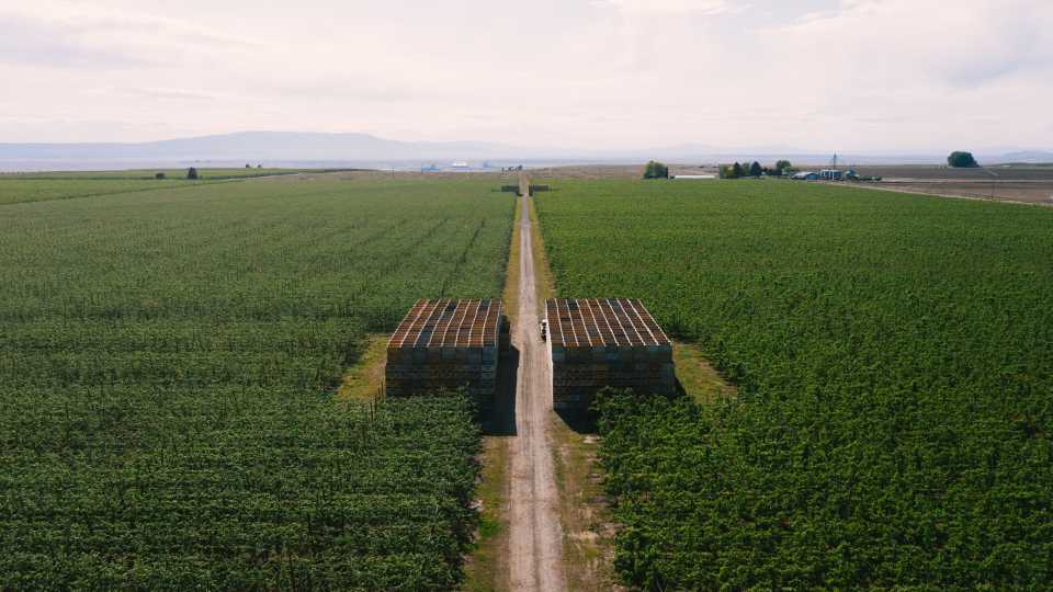 Welcome To the Orchard of the Future Right Now - Global Ag Tech Initiative