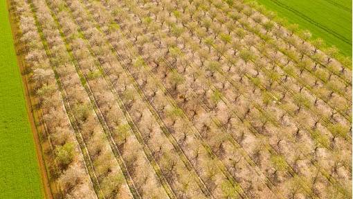 Ceres Imaging Secures $23M in Series C Funding to Fuel Development of ...