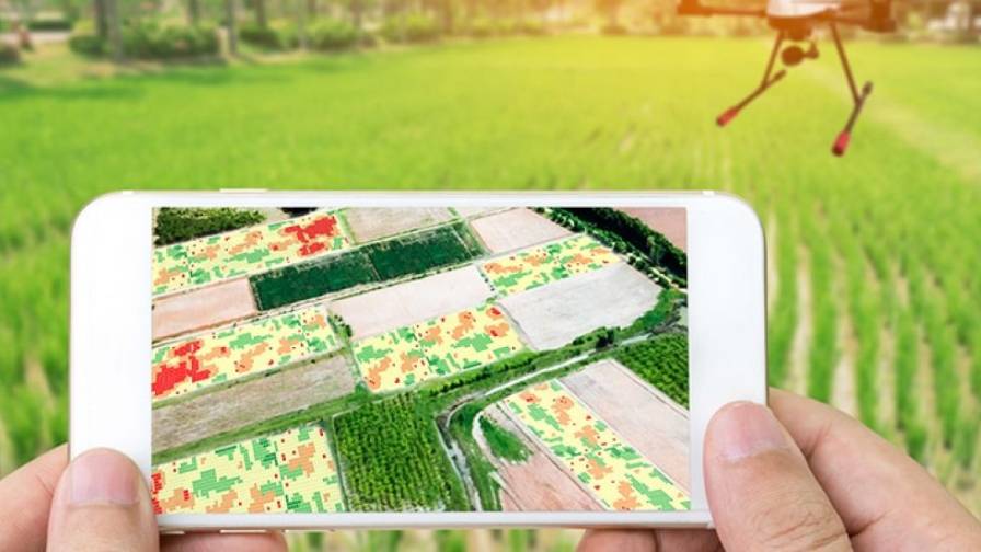 IICA and Argentina to Promote the Digitization of Agriculture in the ...