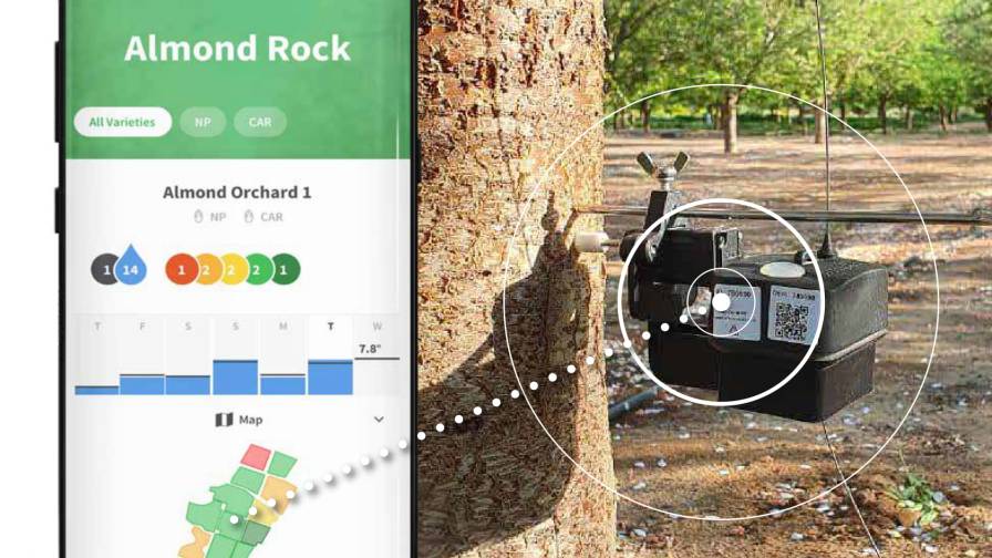 Suterra Forms Partnership with Phytech - Global Ag Tech Initiative