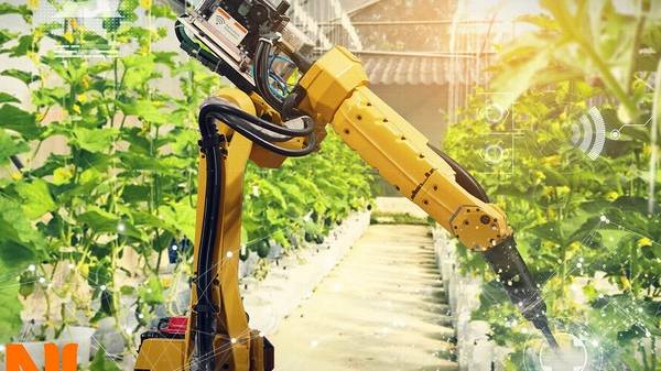 Agtech Collaboration Between the UK and The Netherlands Highlights ...