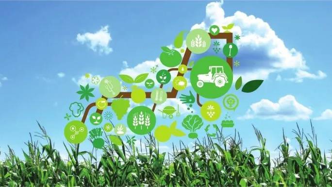 India: Cropin to Launch World’s First Agri Intelligence Cloud - Global ...