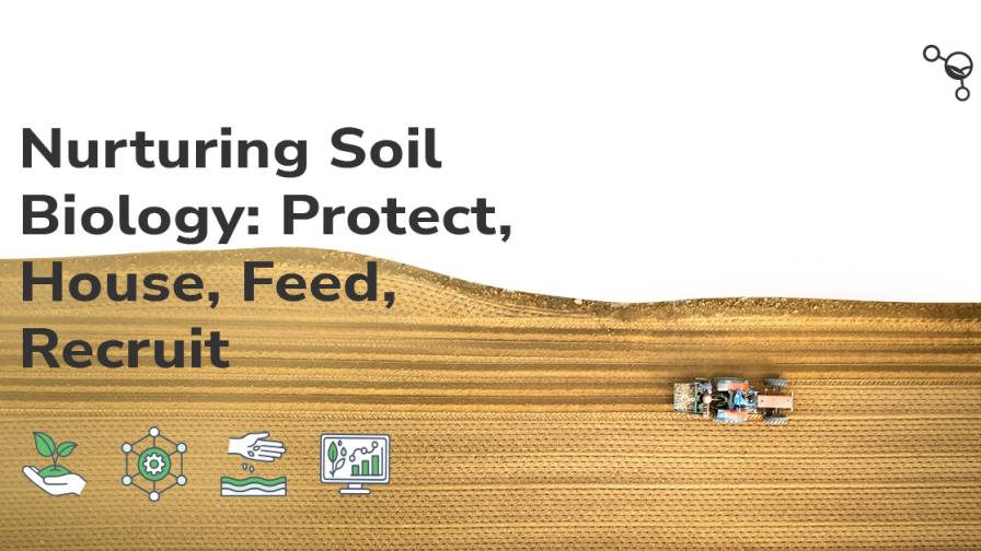 Nurturing Soil Biology: Protect, House, Feed, Recruit - Global Ag Tech ...
