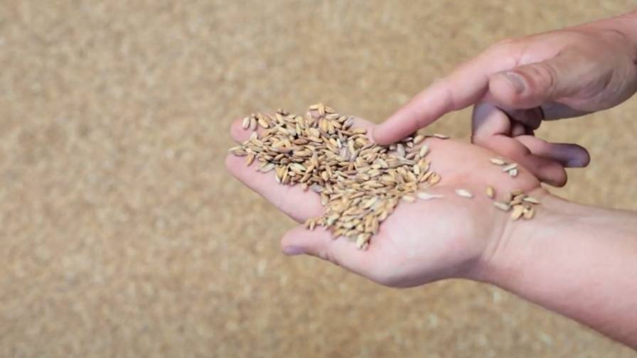 Orbia’s Precision Agriculture Business Netafim Reveals First Carbon ...