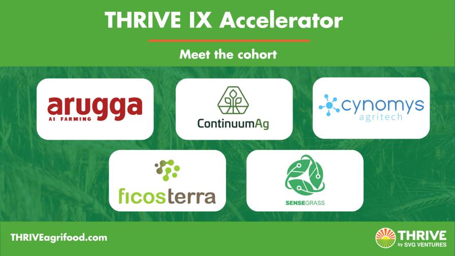 SVG Ventures | THRIVE Announces 5 Global Startups Selected for ...