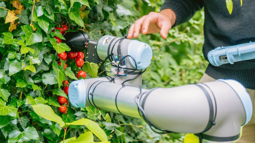 Researchers Use ChatGPT to Design Tomato Harvesting Robot - Global Ag ...