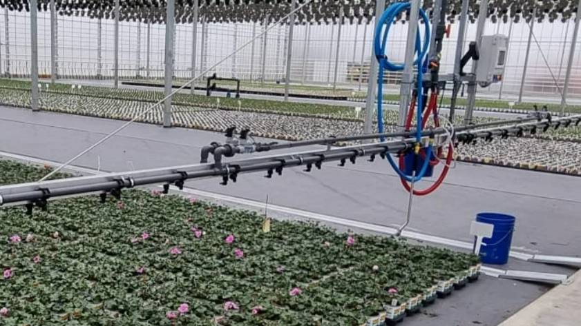 Greenhouse Technology: Why Choosing the Right Irrigation System Is the ...