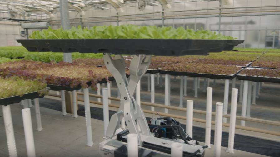 CEA Startup Cuts Water Use by 92% with Autonomous Mobile Robots ...