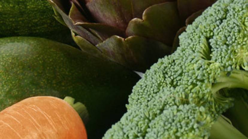 Australia: How a New Ag Tech Program Is Poised to Boost Robotics Use in ...