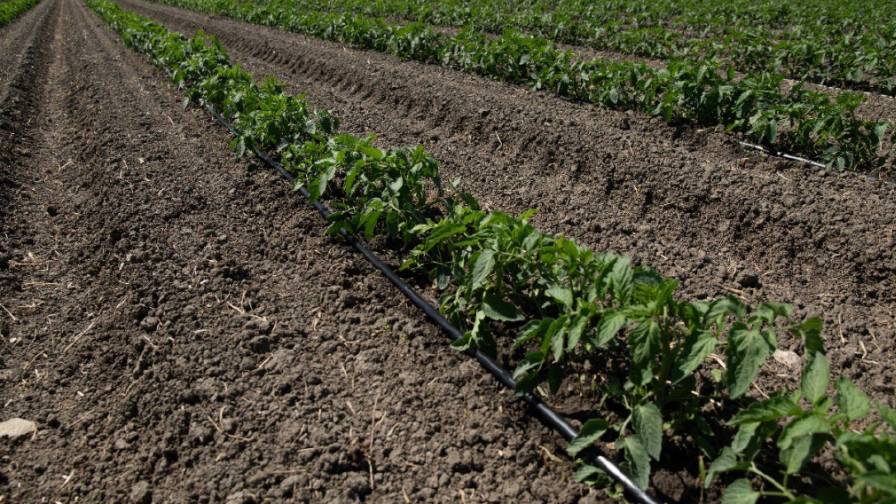 TELUS Agriculture Expands Its Scope, Becoming TELUS Agriculture ...