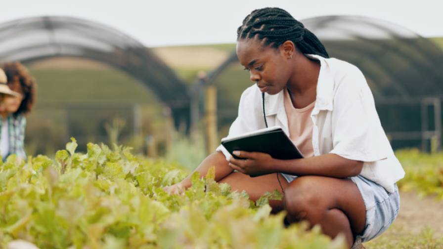 Microsoft Unveils Adapted AI Models for Agriculture - Global Ag Tech ...