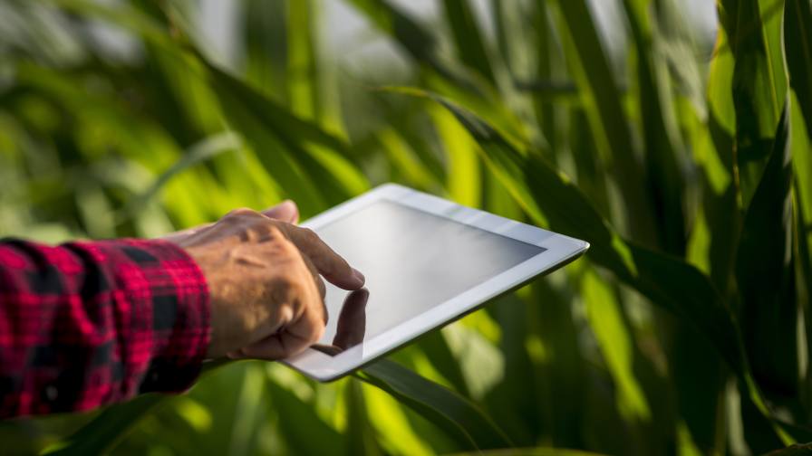 Smart Farming: How Data Analysis Can Help Increase Crop Efficiency ...