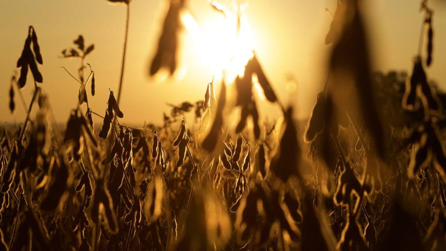 Canadian-Based Bushel Plus Ltd. Expands Global Footprint into the U.S ...