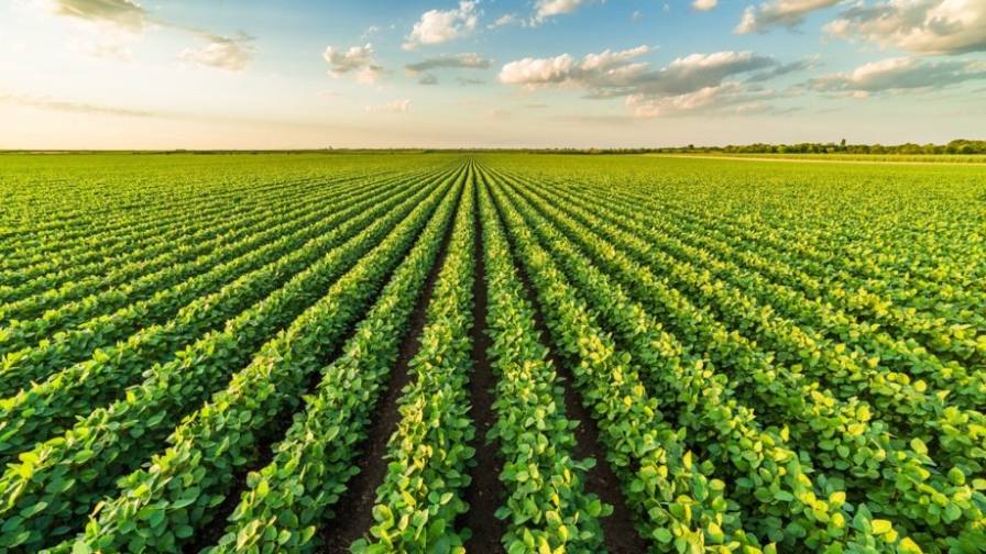 AI Meets Agriculture: Agmatix and BASF Partner to Develop Soybean Cyst ...