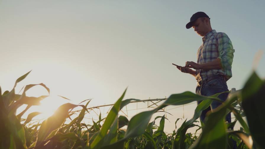 The Rising Wave of Agritech Platforms: Revolutionizing Agriculture for ...