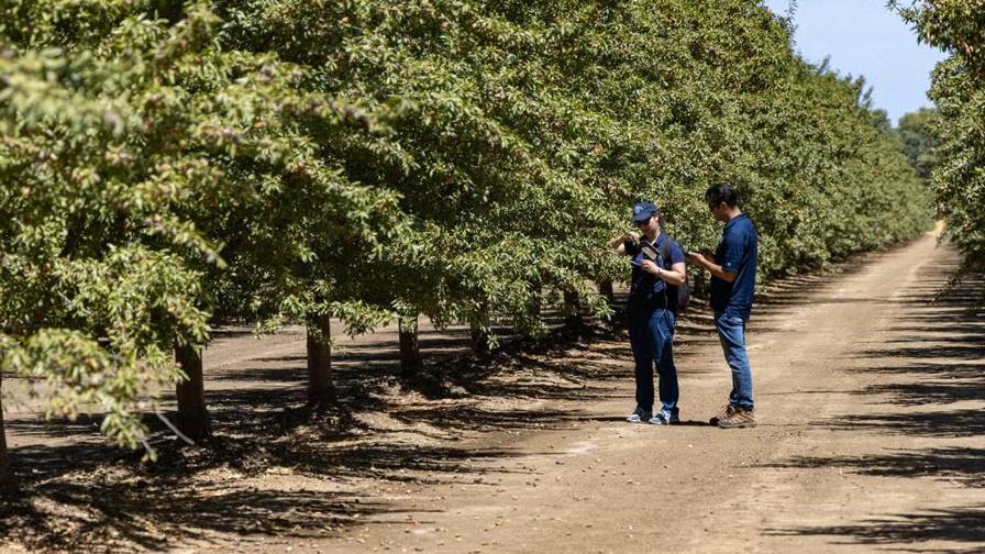 Variable Rate Technology in Agriculture: An In-Depth Look at the ...